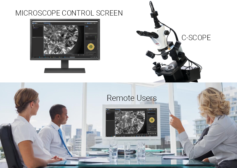 Grading & Branding | C-SCOPE